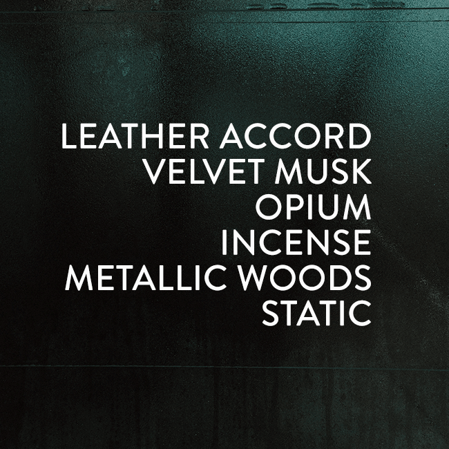 Genderless Fragrance I NonToxic + Vegan + Cruelty Free I Particle ...