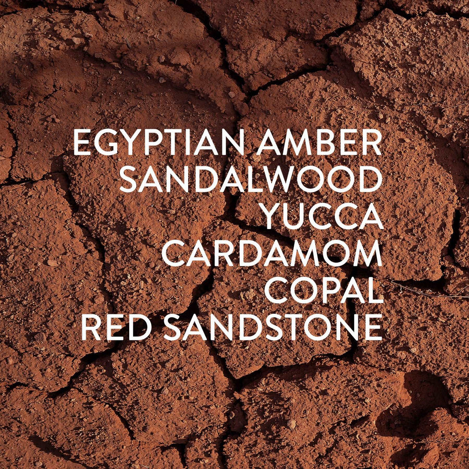 Genderless Fragrance I NonToxic + Vegan + Cruelty Free I Particle ...